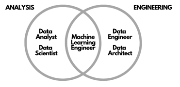 Simplified AI-Data Talent Stack