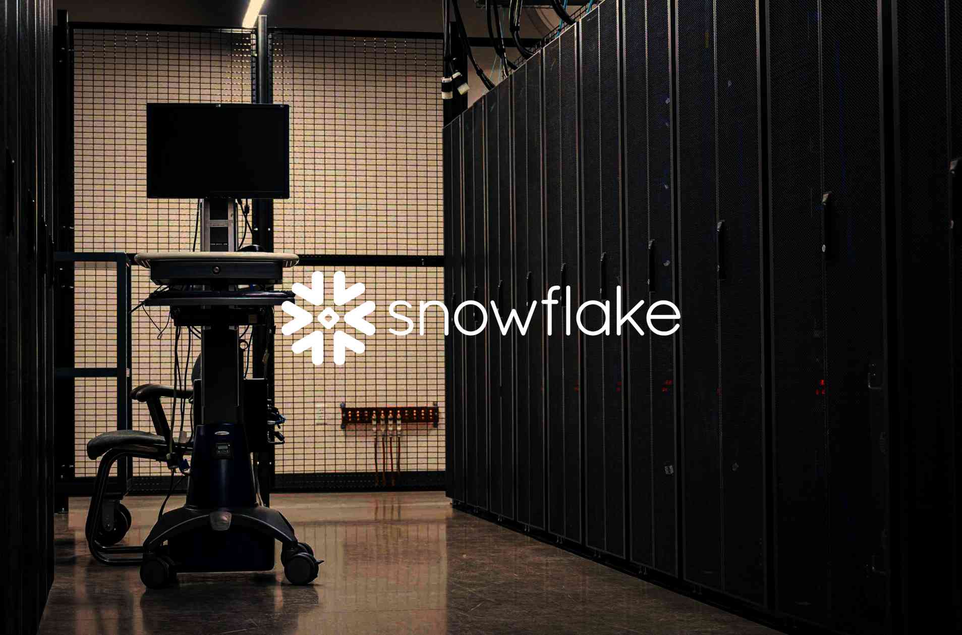 Snowflake Services Partner Ecosystem Snapshot